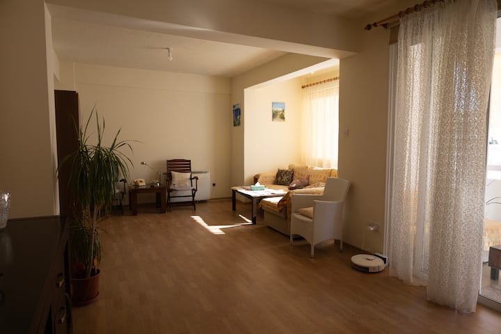 Spacious Apartment In Nicosia City Centre - Nicosia