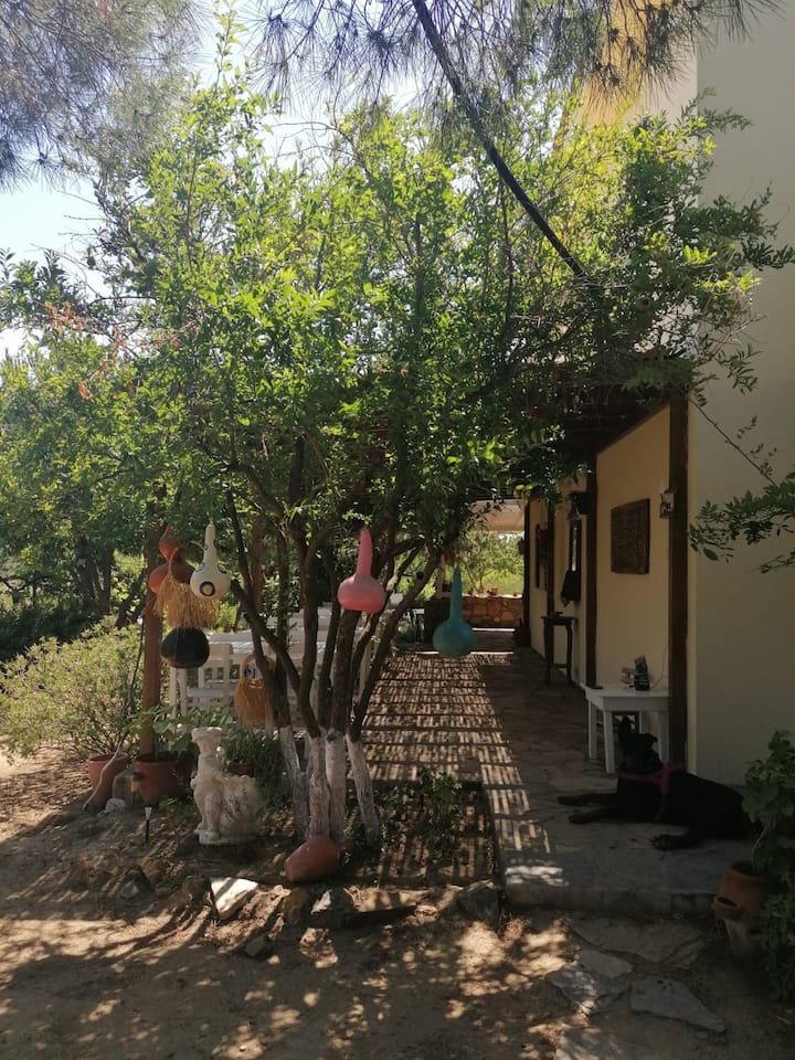 Nar Bağ Evi Balkonlu Oda(3) - Bozcaada
