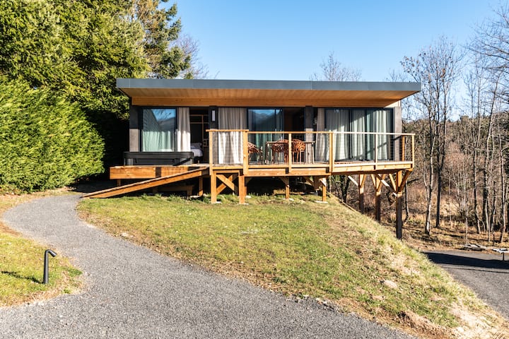 Chalet Basalte - Saint-Nectaire