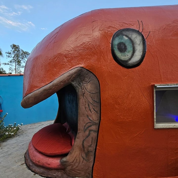 Pousada Casa Baleia - Curvelo