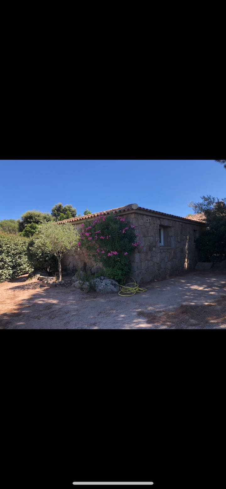 Jolie Petite Maison - Porto-Vecchio