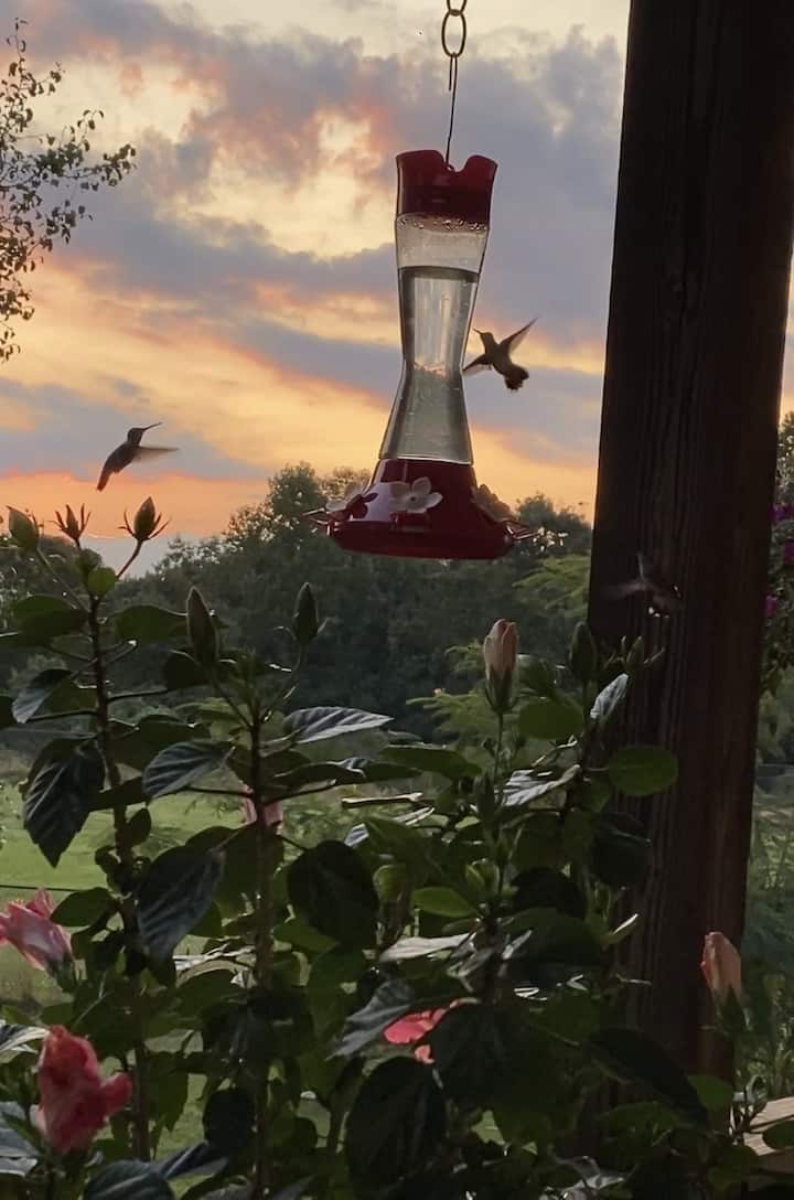 Backyard Bliss Retreat-entire Apt/private Entrance - Flowery Branch, GA