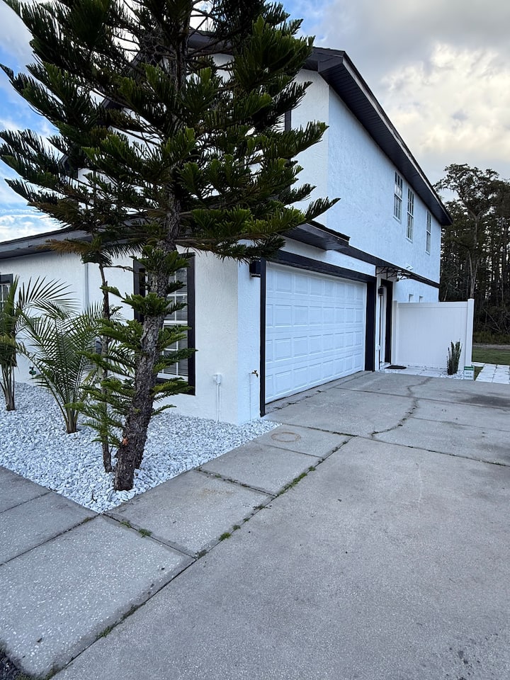 Palm & Peace Suite Private Studio In Wesley Chapel - Wesley Chapel, FL