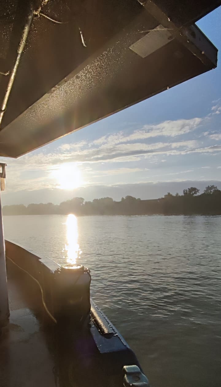 Vue Fleuve - Camargue