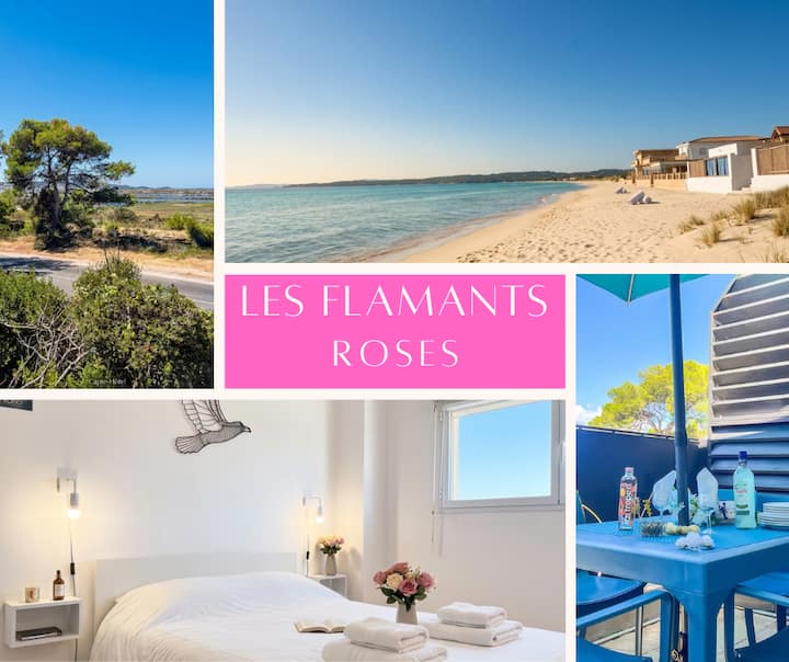 Plage à Pied & Terrasse Ensoleillée - Presqu'île de Giens