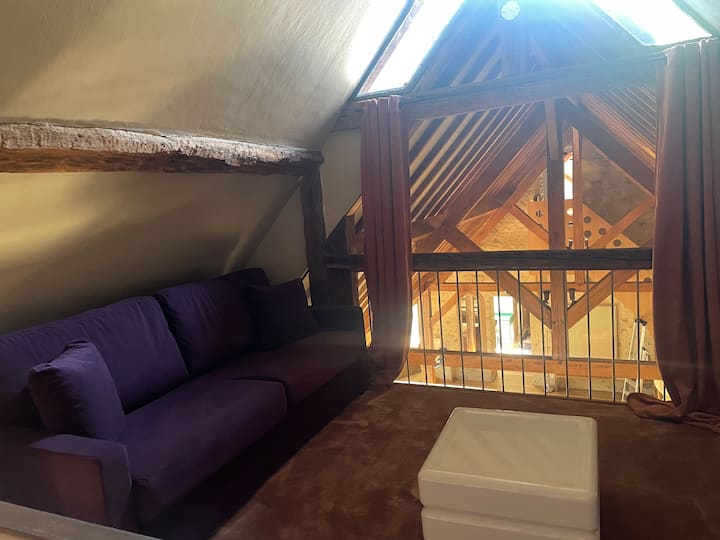 Le Pressoir Du Vau 30 Pers/ Piscine / Grand Parc - Tours