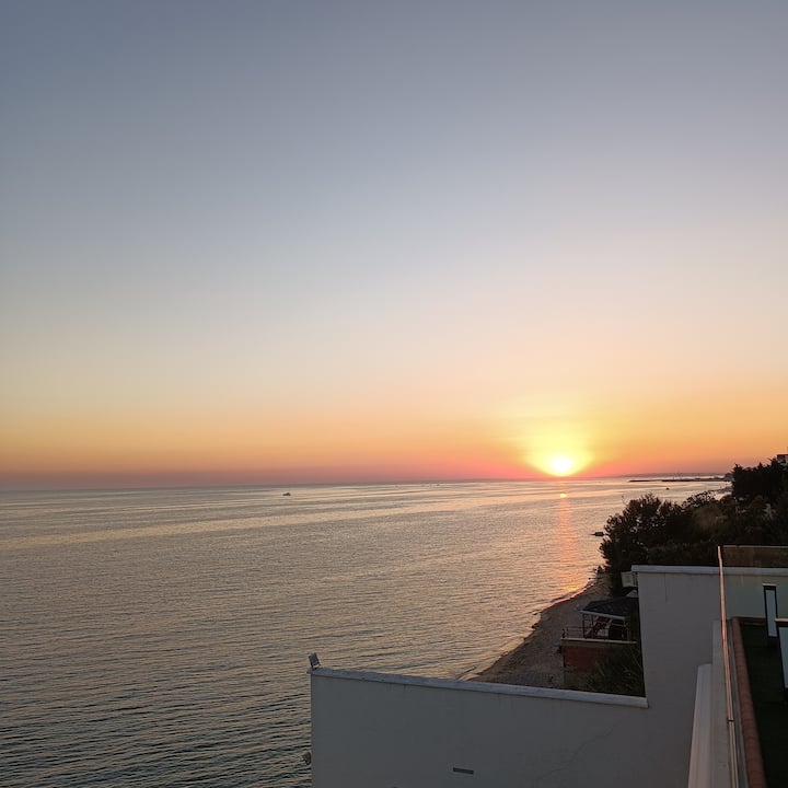 The Sea Haven - Büyükçekmece