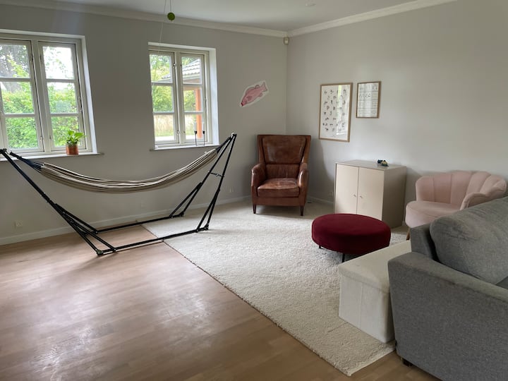 Stort Og Børnevenligt Familiehus - Odense