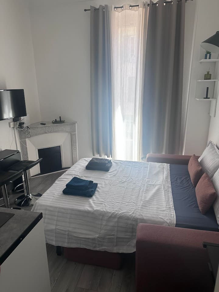 Très Joli Studio Central - Nizza