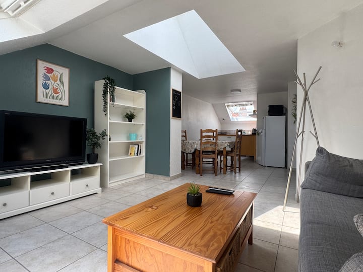 Appartement - Toiturelle - Lumineux Et Proche Gare - Thionville