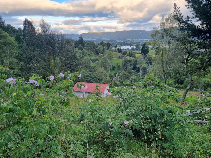 Refugio En El Bosque - Cota