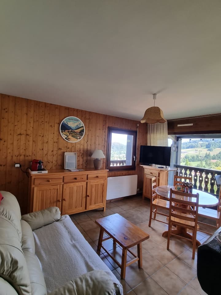 Appartement Face Au Mont-blanc - Cordon