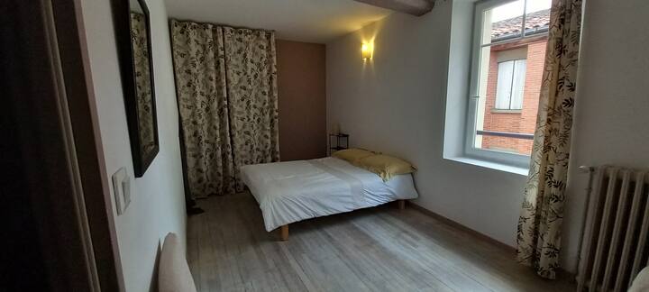 Maison, Jardin, Cœur De Ville - Castres