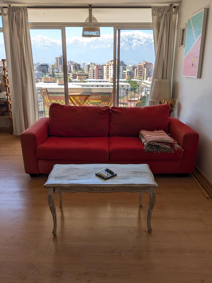 Lindo Departamento Dúplex - Providencia