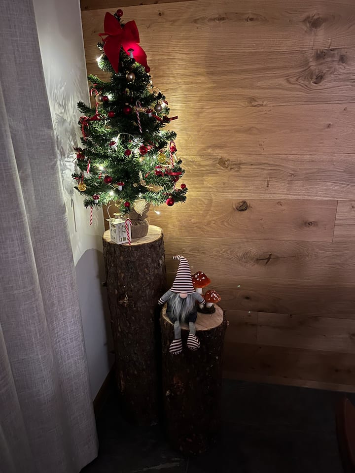 Casa Vacanze "La Coccinella “ - Druogno