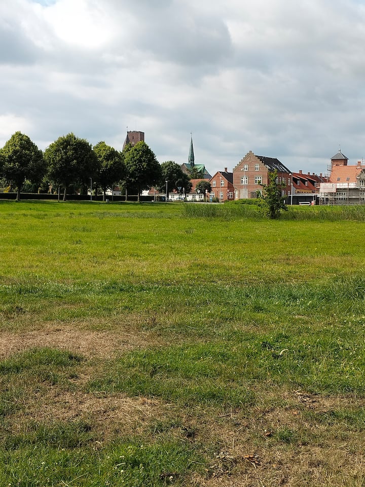 Værelse 1 Med Køkken Og Sovesofa Til To Pers. - Ribe