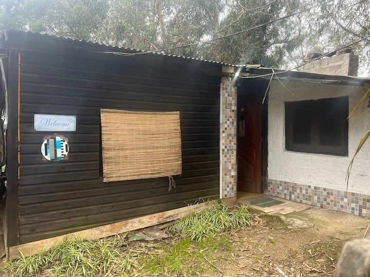 Tierra De Sol - La Floresta