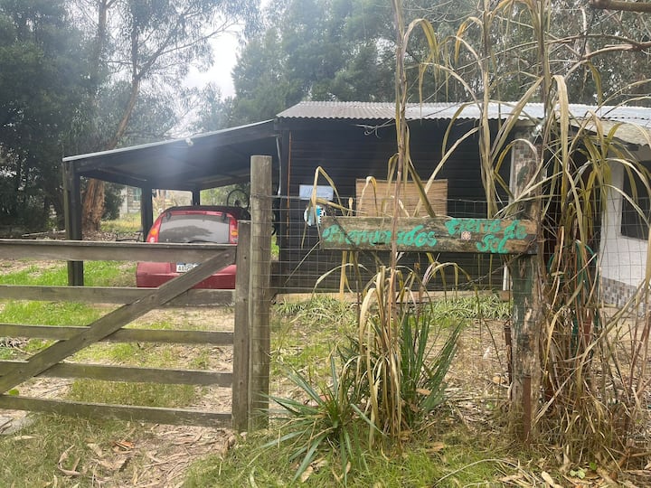 Tierra De Sol - La Floresta