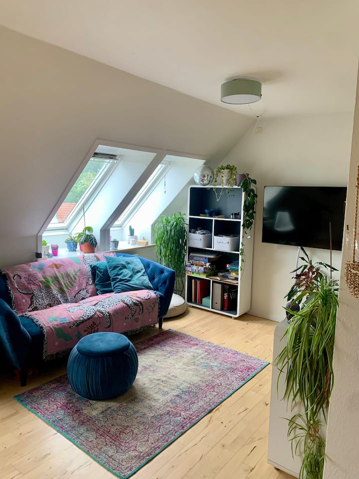 Cozy Attic Apartment - Odense