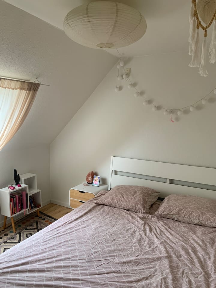 Cozy Attic Apartment - Odense