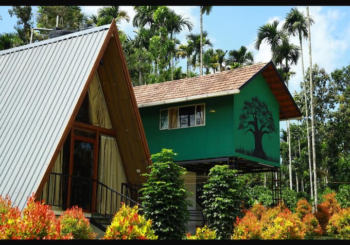 Dk Village Jungle Resort Pazoor  Waynad - Bandipur