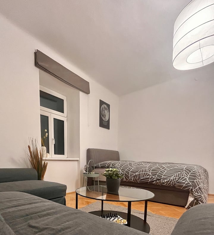 Großes Zimmer In Salzburg Stadt - Salzburg