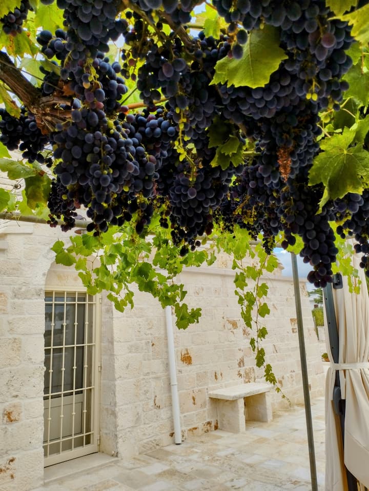 Trulli "La Quercia Del Nonno" - Locorotondo