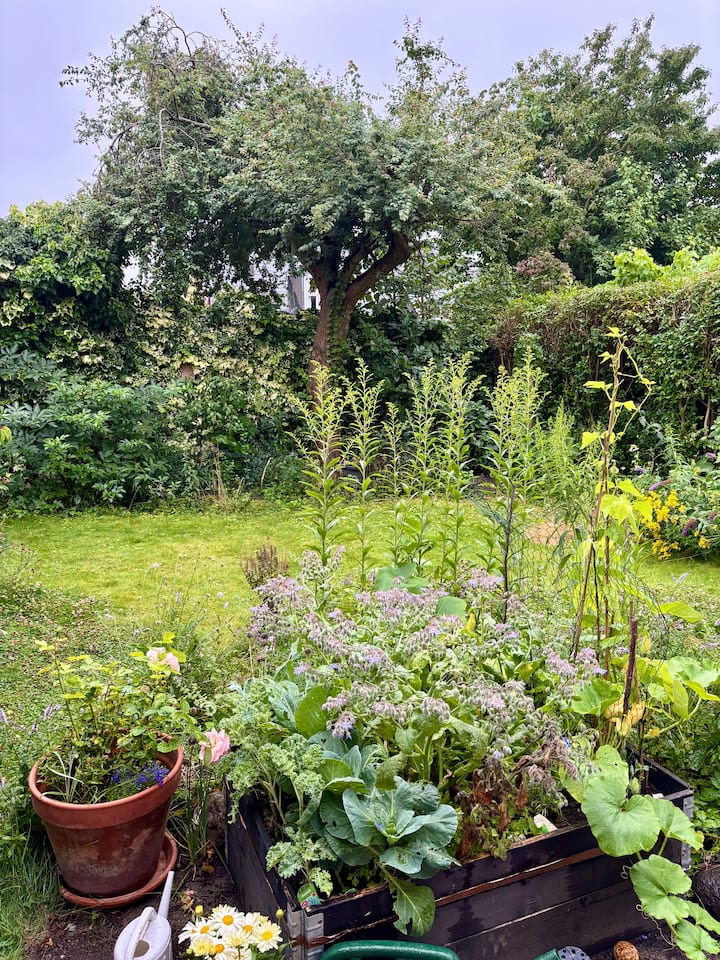 Cozy House With Privat Garden - Copenhagen