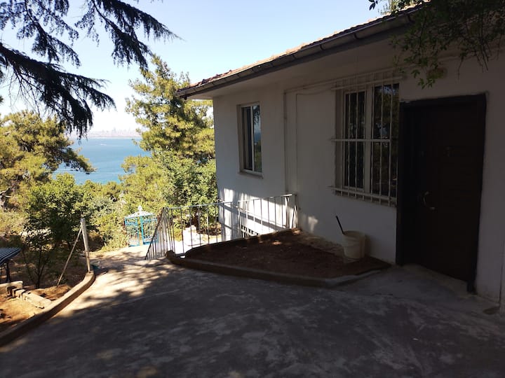 Batı Süiti - Adalar