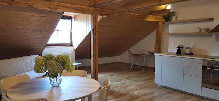 Podkrovní Byt V Centru Litomyšle - Pardubický kraj