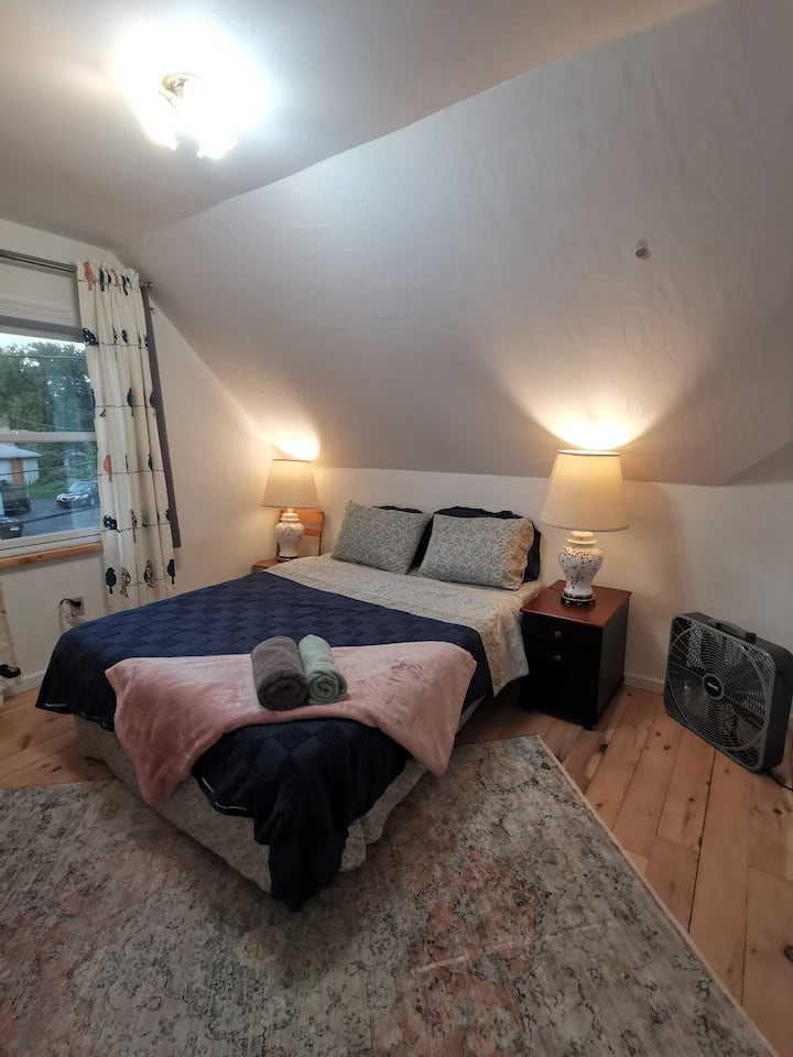 Queen Sized Bedroom Upstairs On The Northside - Syracuse, NY