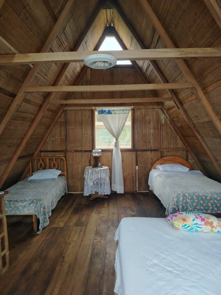 Bambú Natural Eco Cabañas - Ecuador
