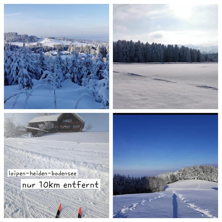 Wintersonne Im Sonnengarten - Bregenz