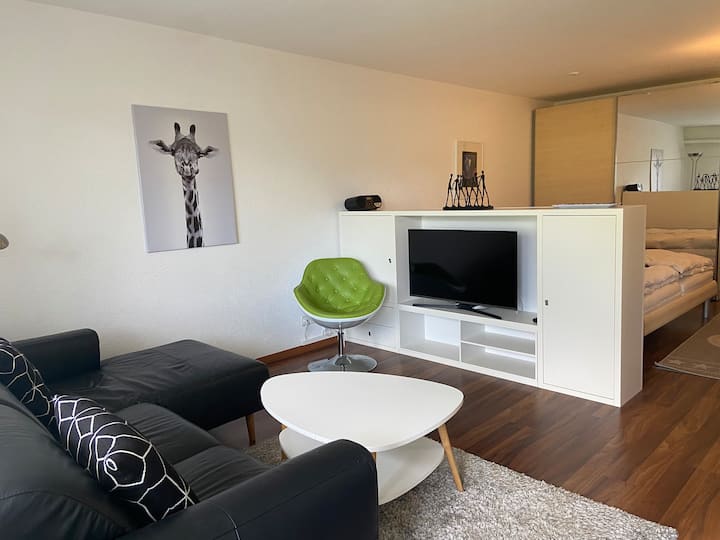Appartement 1 1/2 Pièce Et Petite Chambre En Sus - Leukerbad