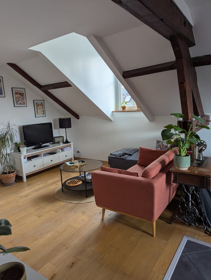 Joli Appartement Centre Ancien - Orleans