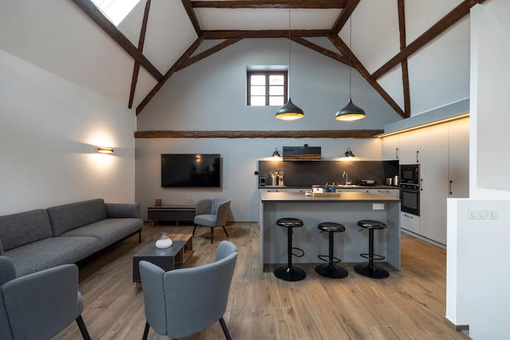 Gîte D'exception - Les 4 Fontaines - Eguisheim