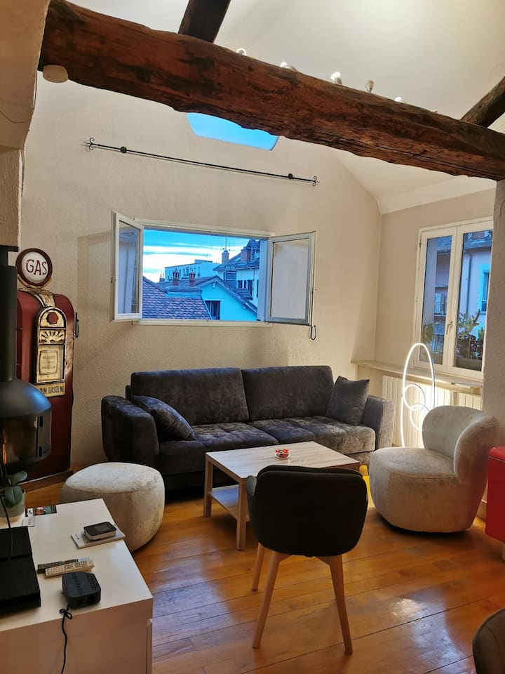 T4 Atypique Annecy Carnot - Haute-Savoie