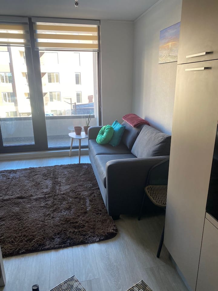 Cómodo Departamento Cerca De La Costanera. - Puerto Natales