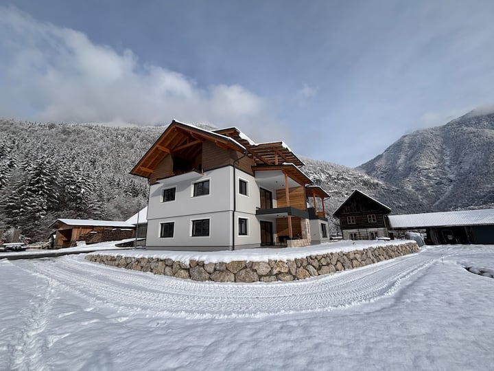 Haischberger Apartments - Obertraun