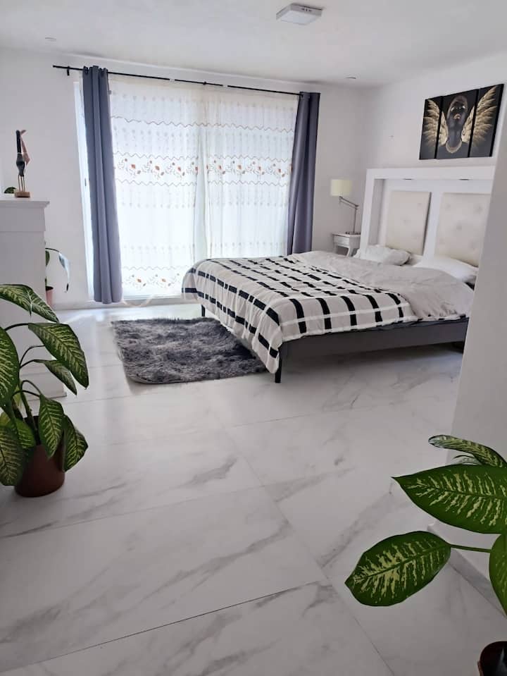 Vértice - San Luis Potosí