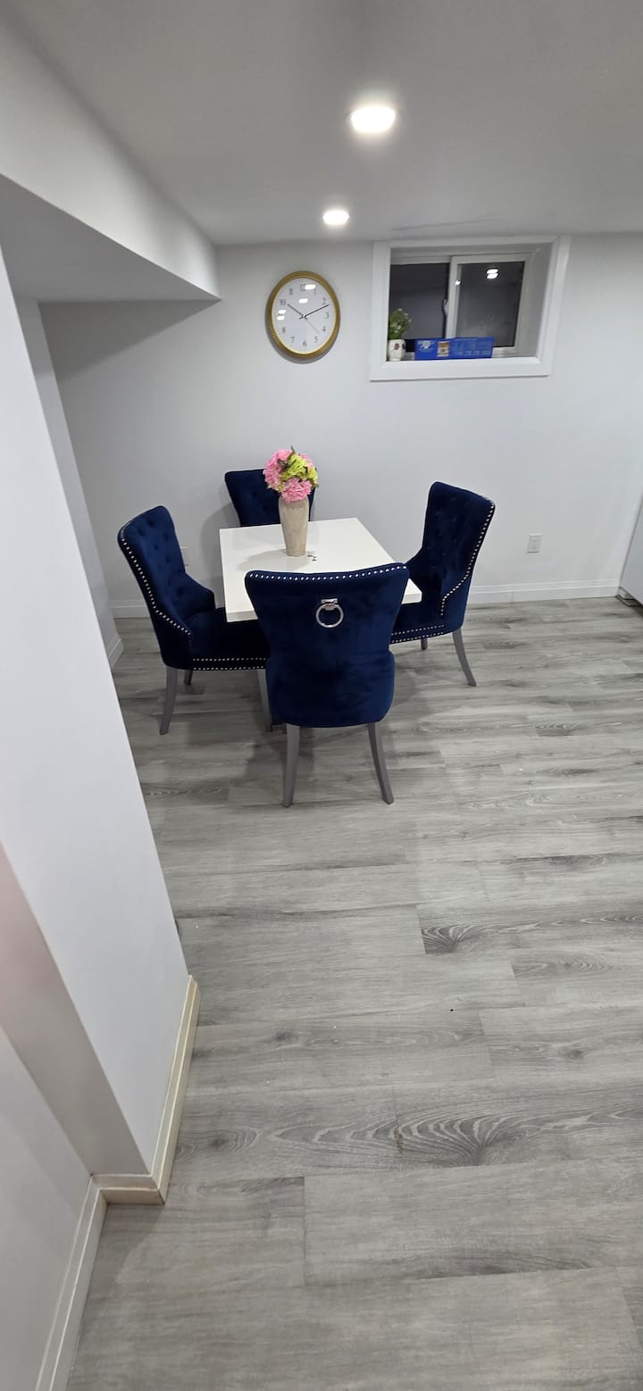 3 Bdrm Modern Lux Basement Near Fanshawe College - London