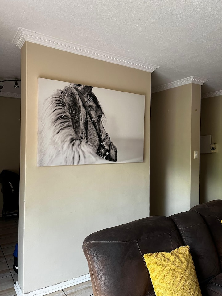 Urban Comfort With Garden Charm, Heart Of Witbank - Witbank