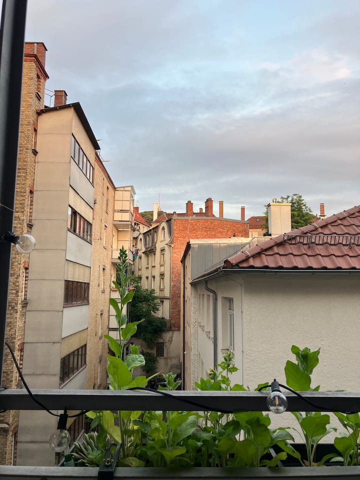 Altbau Im Heusteigviertel - Stuttgart