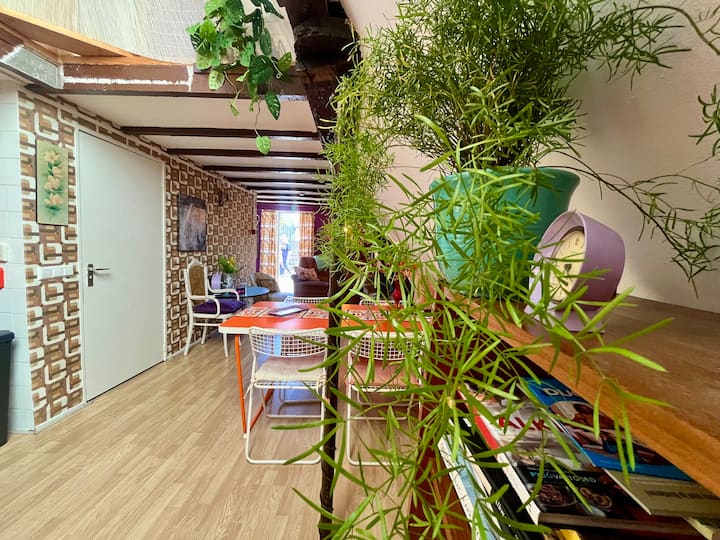 The Vintage Loft At Soepp - Alkmaar