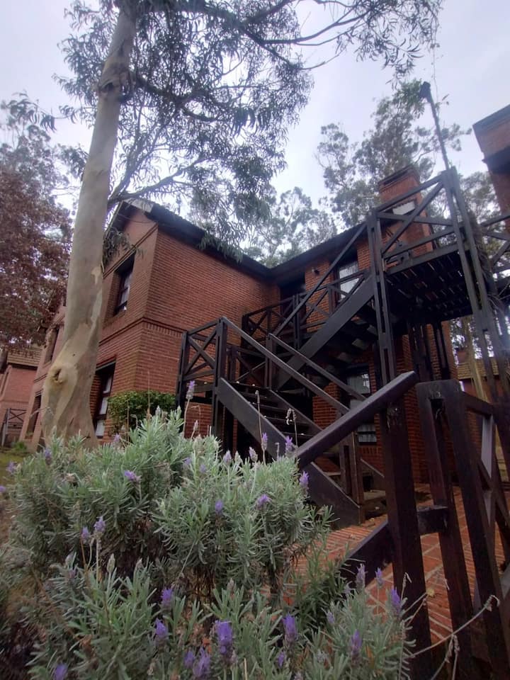 Rodeado De Naturaleza - Pinamar