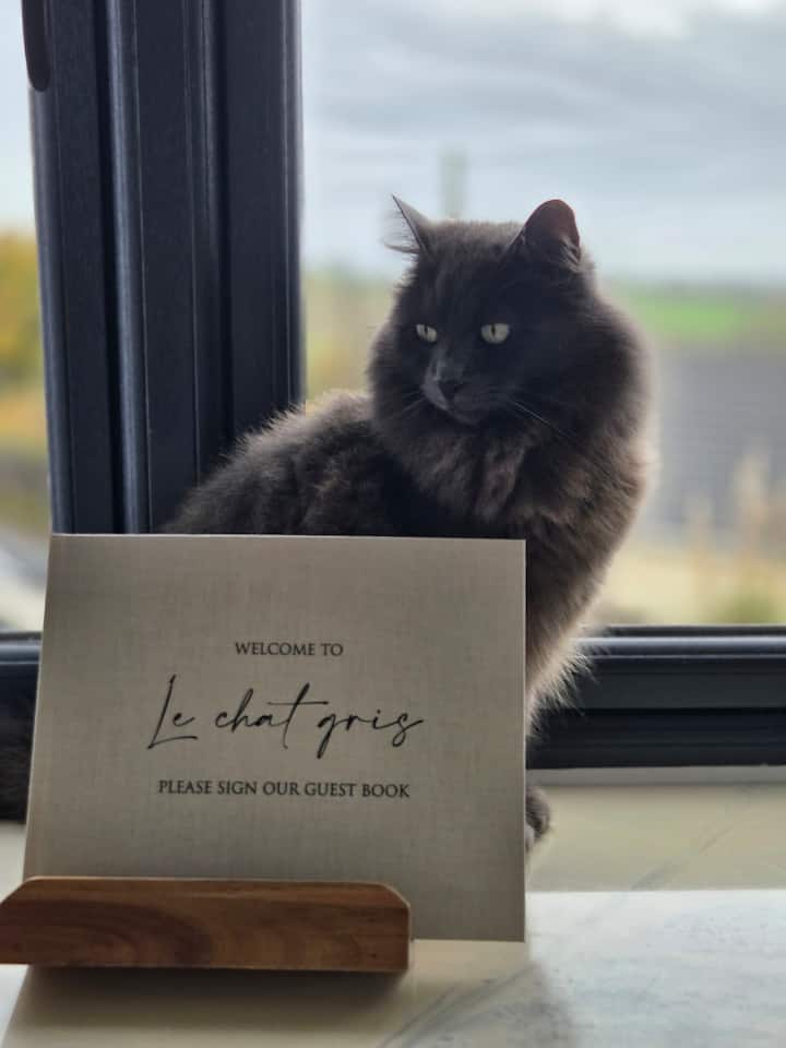 Le Chat Gris (The Grey Cat) - Totnes