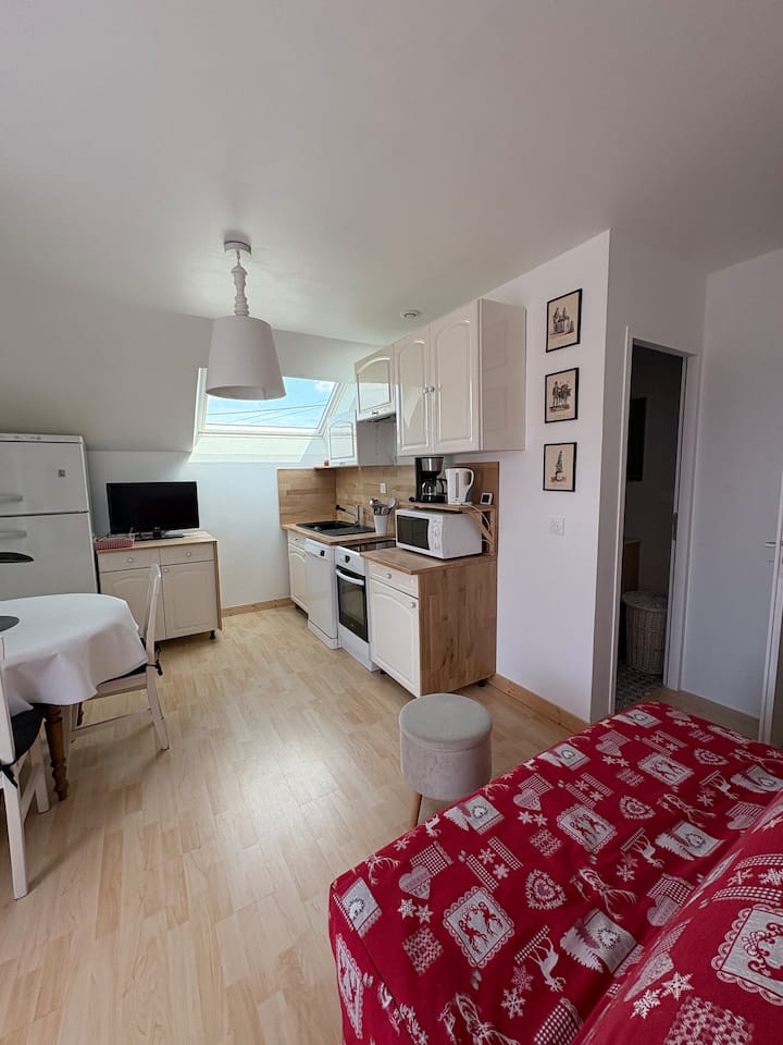 Appartement Charmant En Sologne - Salbris