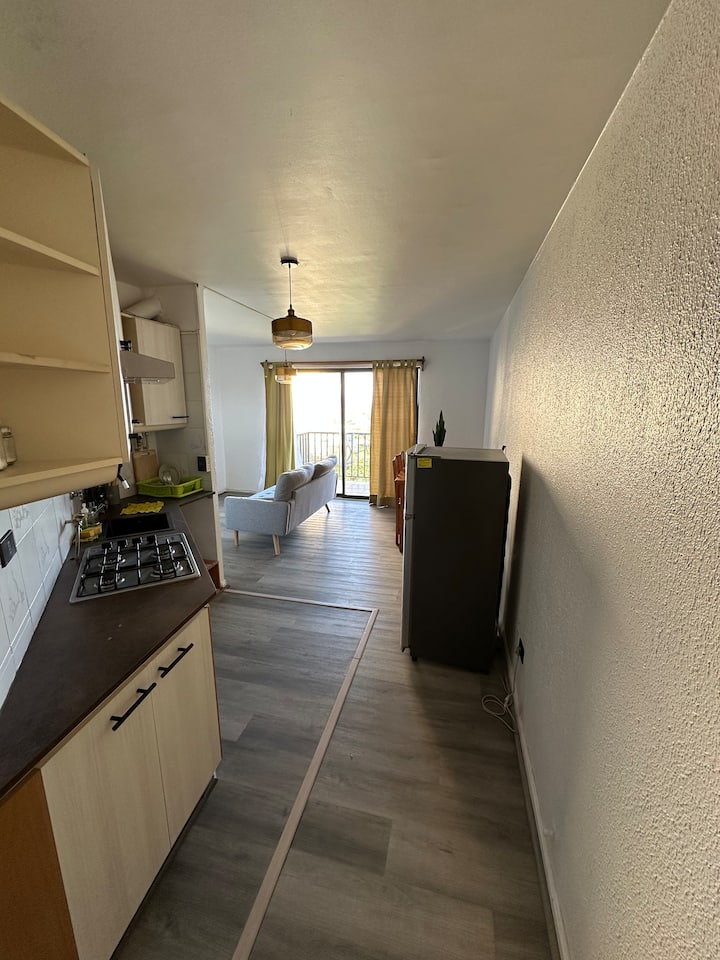 Departamento Céntrico, Quisco. - Algarrobo
