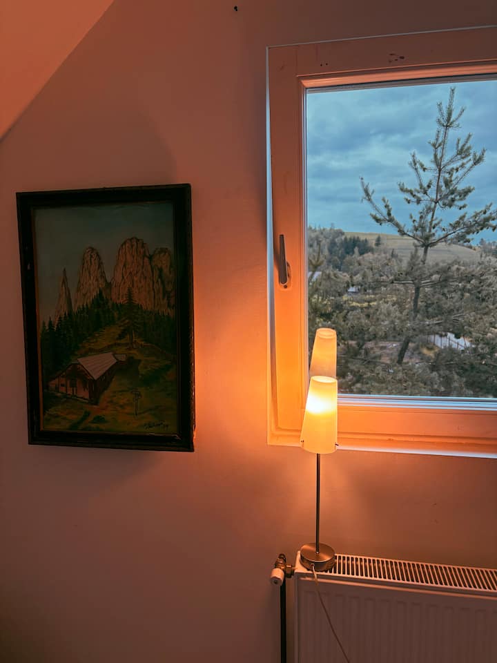 Lakeside - Transylvania