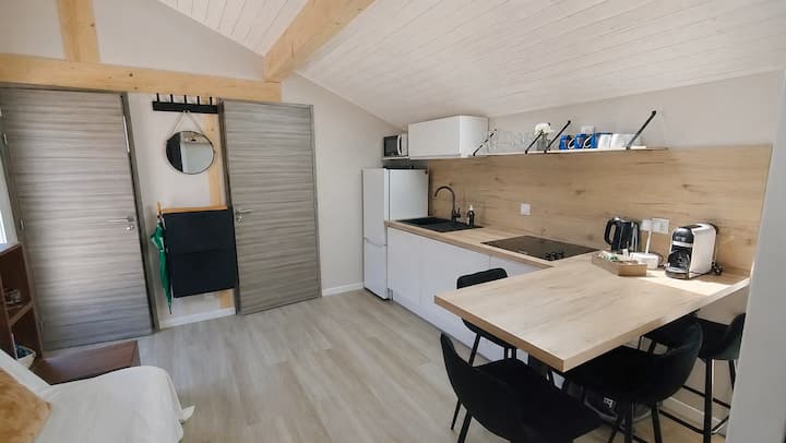 Logement Pied Dans L'eau, Bord Du Léman - Évian-les-Bains